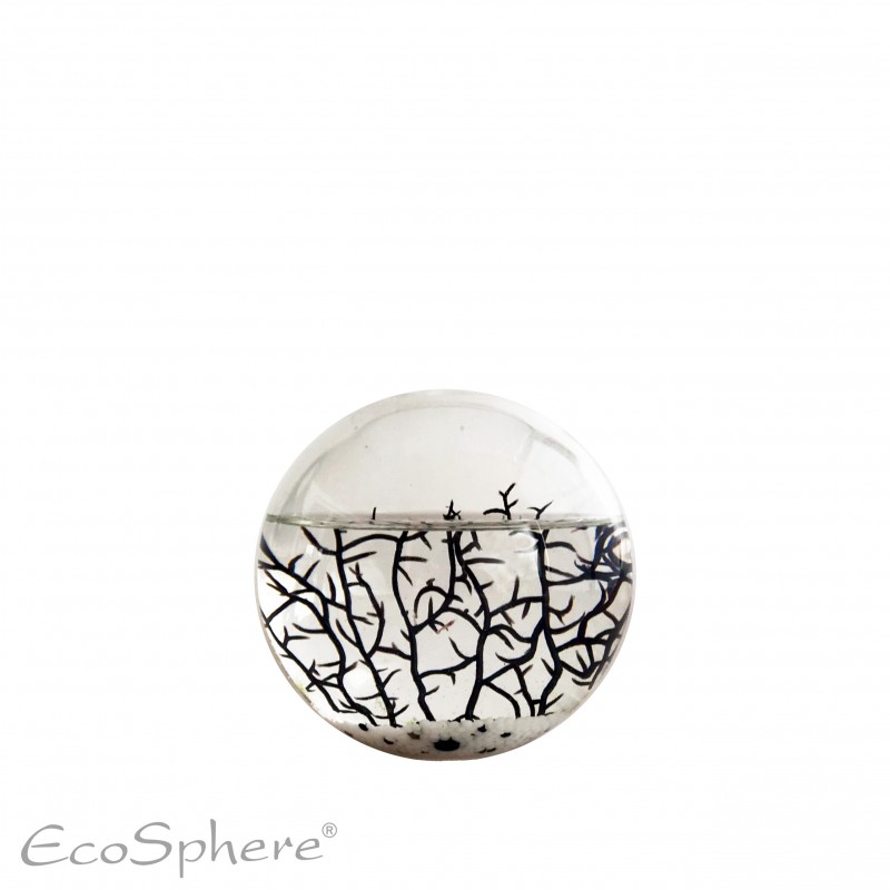Ecosphere-Shop.de - Ecospheren Europe Ecospheres kaufen
