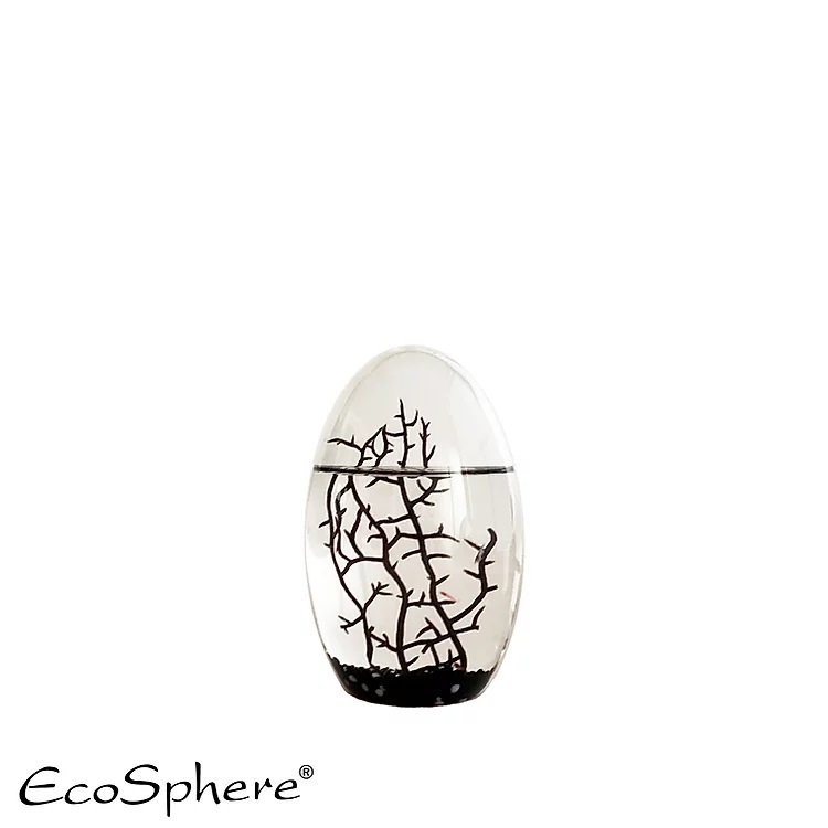 Ecosphere-Shop.de - Ecospheren Europe Ecospheres kaufen