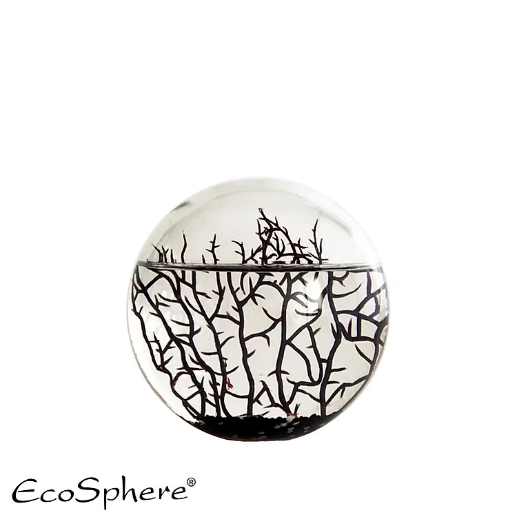 Ecosphere Aquarium - ausgefallenes Werbegeschenk für Kunden