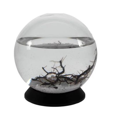 Ecosphere Europe Wissenschaft Hersteller Nasa Biosphere