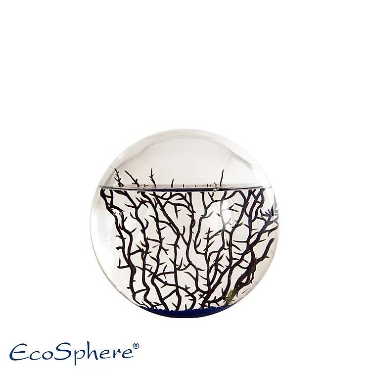 Ecosphere-Shop.de - Ecospheren Europe Ecospheres kaufen